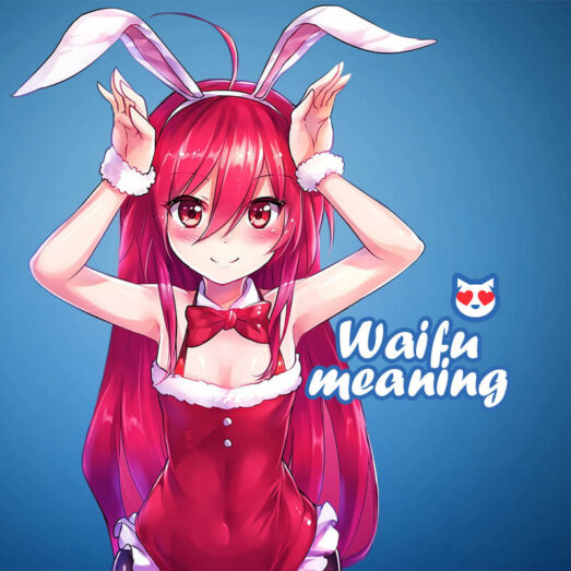 What Is Waifu Term Meaning Toys Onahole Blog What Is Waifu Term Meaning Toys Onahole Blog